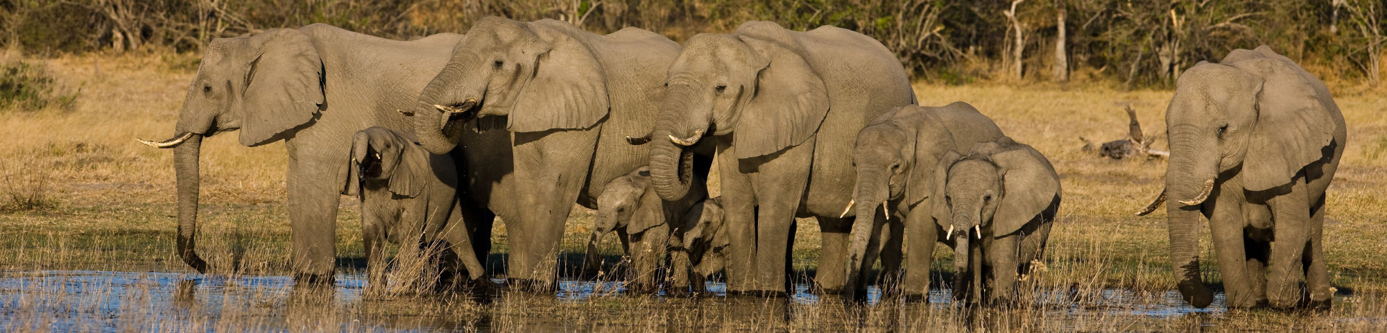 Tailor-Made Escorted Tours to Africa | OutpostsTravel Africa